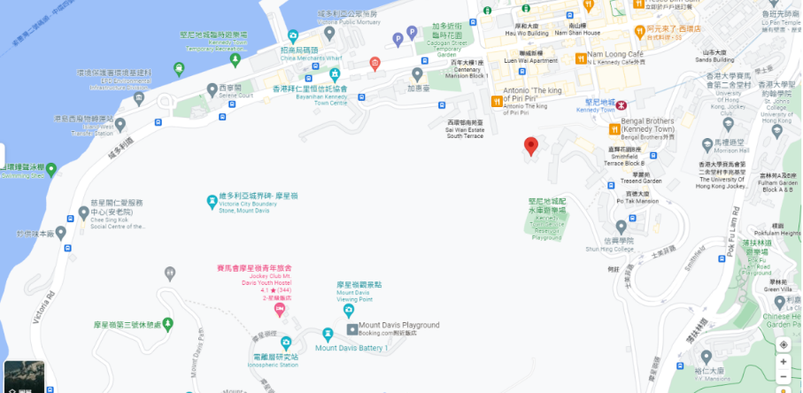 Social Welfare Department - Central Referral System for Rehabilitation ...